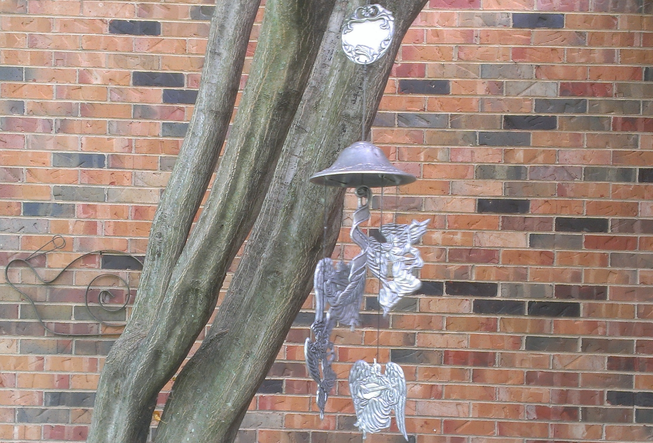 Sunday in the garden